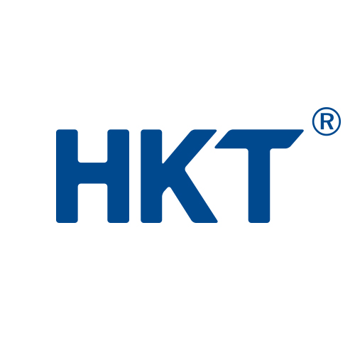 HKT Enterprise Solutions • 3 Screens Strategic Advisors Limited